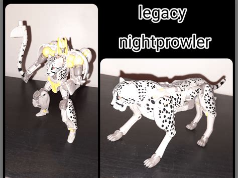 Newest Maximal R Transformers