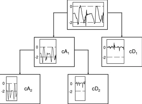 an example of the accelerometer signal along with the approximation and