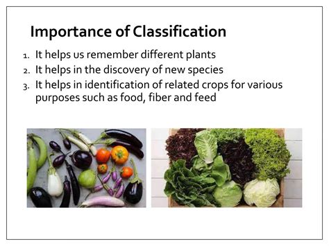 1 Botanical Classification Ppt