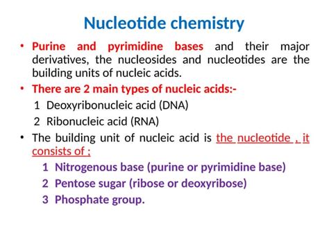 Molecular Biology Lecture Notes Collection Pptx