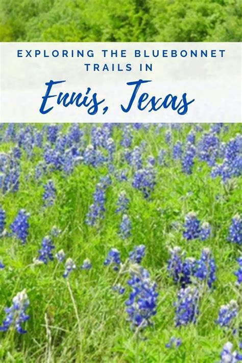 Ennis Bluebonnet Trails A Very Texan Road Trip • The Sweet Wanderlust