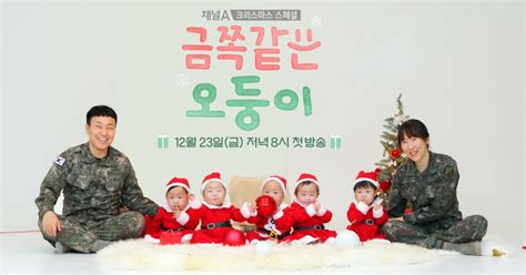 임신 자체가 기적軍 다섯쌍둥이 성장기 금쪽같은 오둥이 23일 특별 편성