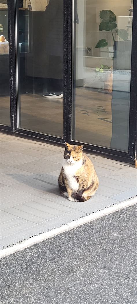 어느새 2025년도 1월이 끝났습니다 정말 시간이 빠르게 흘러가네요 2025년이 되면서 어느새 저도 프리랜서가 된 지 4년 차가 됐습니다 새해가 될 때마다 ‘정말 내가