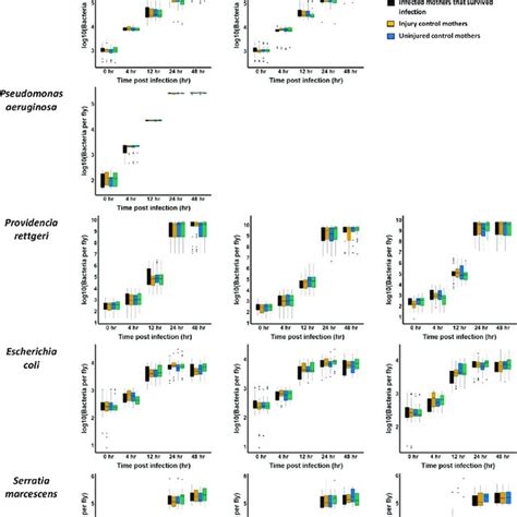 Pathogen Load Assays To Test For Priming Among Offspring Pathogen Load