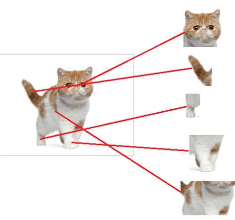 CNN 入门讲解什么是全连接层Fully Connected Layer 知乎