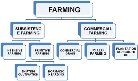 Shifting Agriculture Diagram