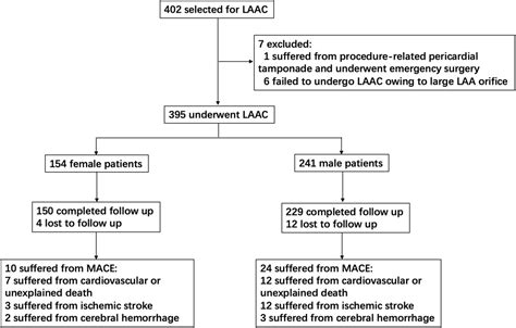 Frontiers Sex Differences In Efficacy And Safety After Left Atrial Appendage Closure A 43