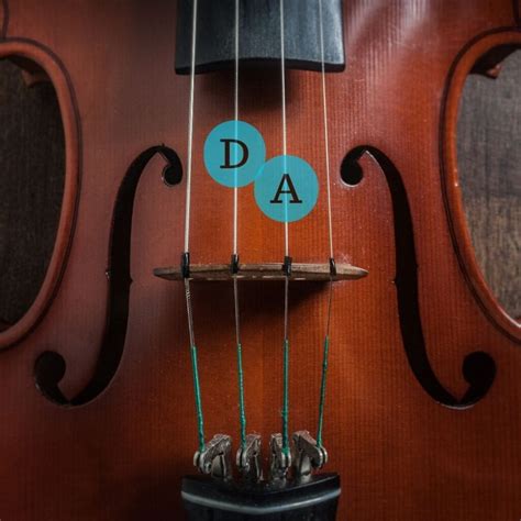 The Ultimate Guide To The Best Violin Strings In 2025 Ted S List