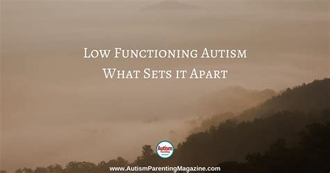 Low Functioning Autism What Sets It Apart Ultimate Guide