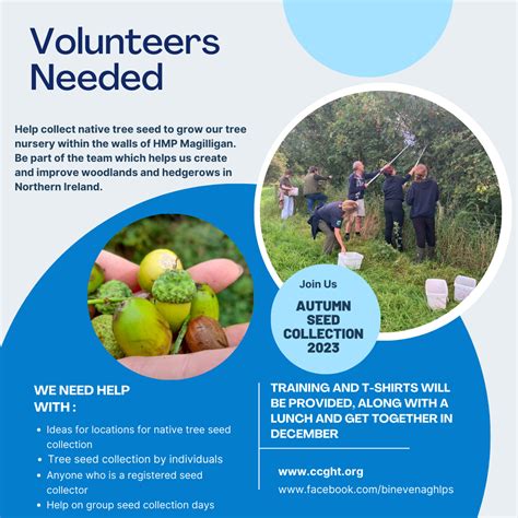 Volunteers Needed For Native Tree Seed Collecting Causeway Coast