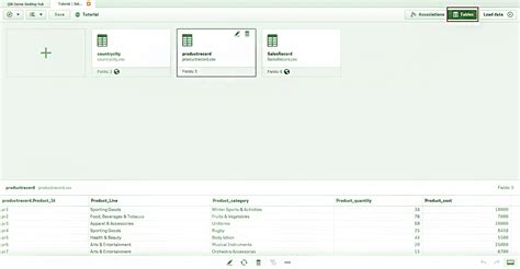 QliK Sense Managing Data Viewing Loading DataFlair