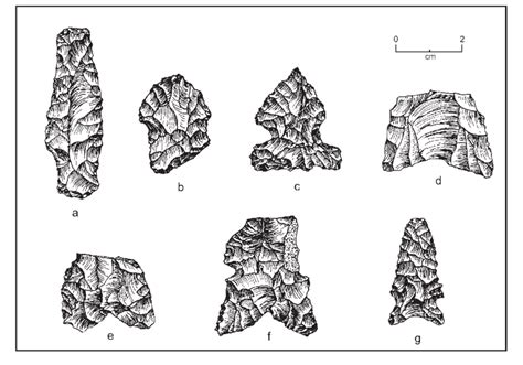 Selected Dart Points A Sand Dune Side Notched Site 42sa18412 B