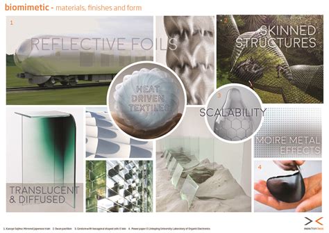Biomimetic Materials Finishes And Form Nature Inspiration Natural