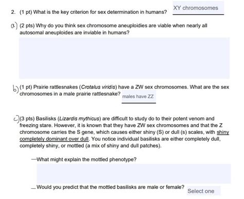 Solved XY Chromosomes Pt What Is The Key Criterion Chegg Com