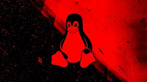 Linux Cve Kernel Local Javad Hasankhani