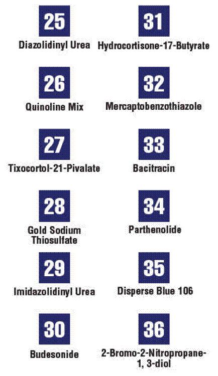 Patch Test Allergy Skin Test Results Chart