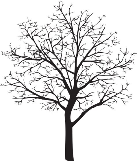 Download Tree Branches Nature Royalty Free Vector Graphic Pixabay