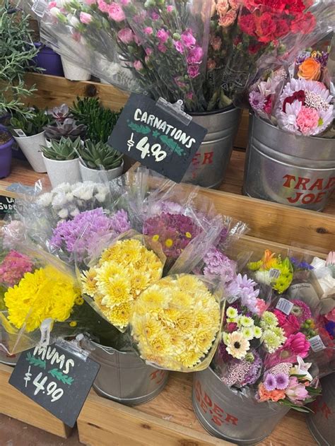 Spring Aesthetic Flowers Trader Joes Vision Board Spring