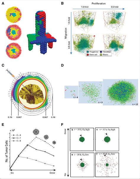 Figure 4 From A Review Of Cell Based Computational Modeling In Cancer