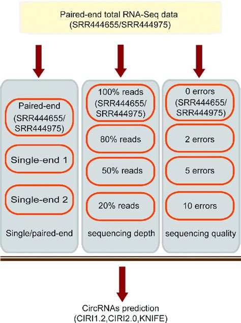 pipeline for generating the simulated imperfect rna seq data