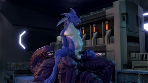 Xenomorph Encounter Thisvid Com