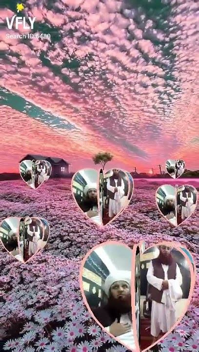 sufi muhammad sohail ahmad zia hanfi saifi youtube