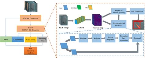Structure Of The Faster R Cnn Detector Xu Et Al 2020 Download