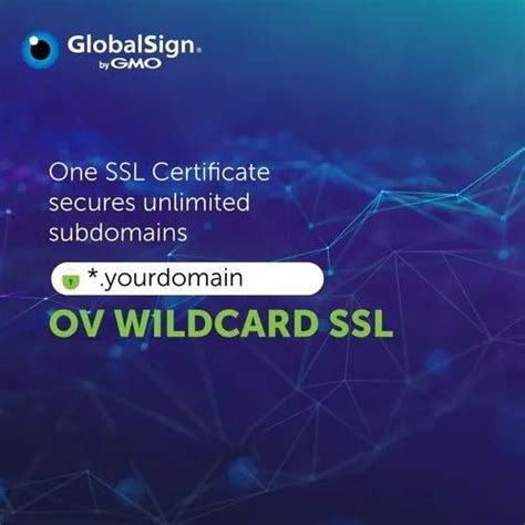 Wildcard SSL Certificate Service At Month In New Delhi