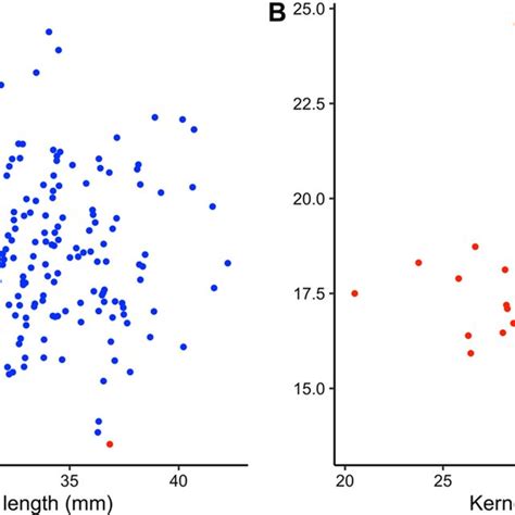 Mean Kernel Length And Width For A Single Kernel Fruits And B Download Scientific Diagram
