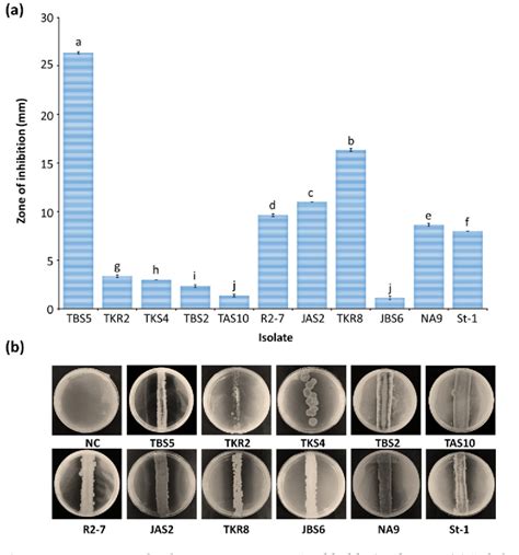 Table 1 From Characterization Of Streptomyces Spp From Rice Fields As A Potential Biocontrol