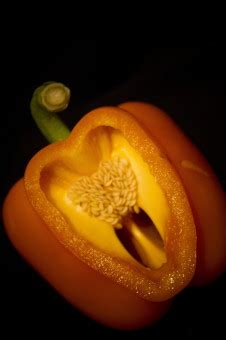 Free Images Sun Fruit Flower Orange Food Produce Yellow