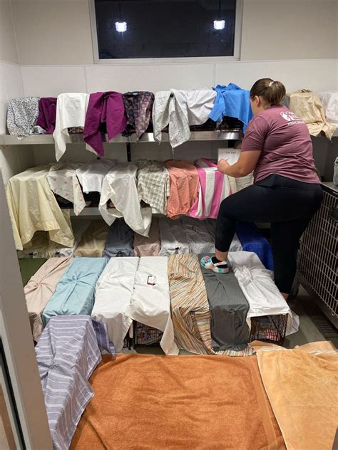 Angéline Fahey On Linkedin Teameartip Tnr Trapneuterreturn