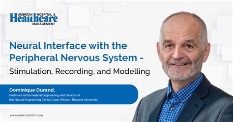 Neural Interface With The Peripheral Nervous System