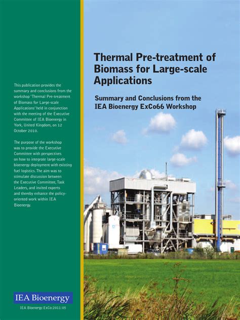 exco66 thermal pre treatment of biomass for large scale applications