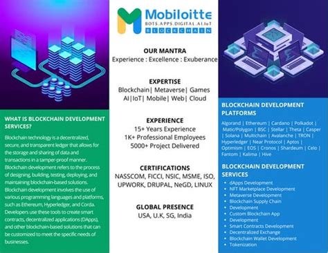 public blockchain development services ppt