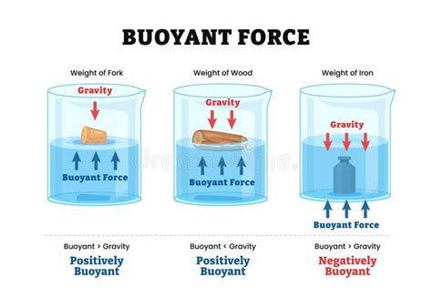 Different Types Of Buoyant Force Infographic Diagram Physics Science