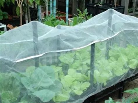 9 Benefits Of Agricultural Insect Nets You Should Know Insonshade