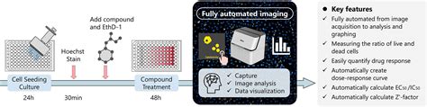 Cytotoxicity Assay Using Ai Driven Fully Automated Eclipse Ji Application Notes Resources