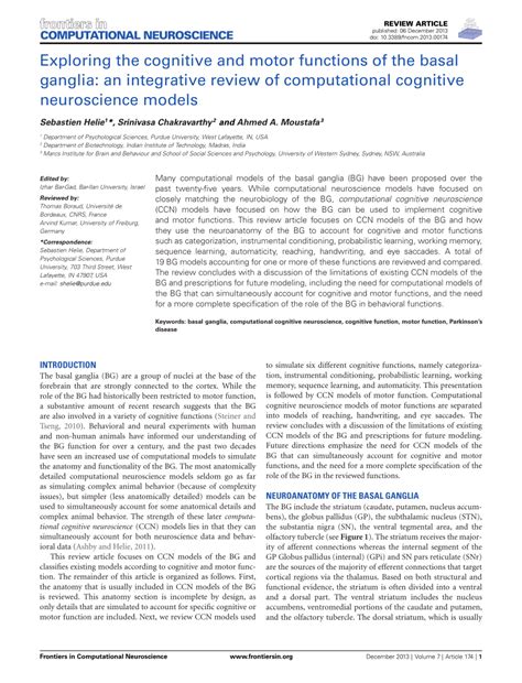 Pdf Exploring The Cognitive And Motor Functions Of The Basal Ganglia An Integrative Review Of