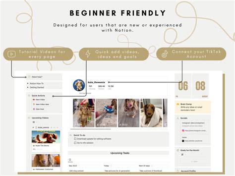 BOHO Tiktok Notion Template Minimal Content Planner For Notion Beginner Friendly Notion