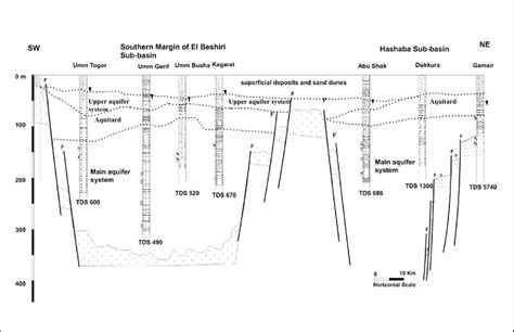 Geologicalhydrogeological Cross Section C To D Shows The Subsurface