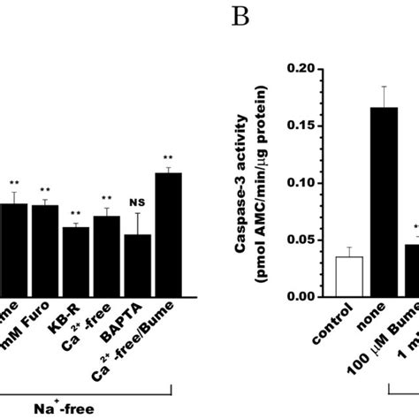 Attenuation Of Na Deprivation Induced Apoptosis By Blocking Nkcc Or Download Scientific