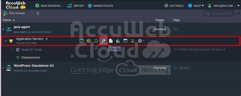 Java agent integration with AccuWeb.Cloud Guide