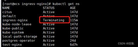 k8s删除terminating状态的命名空间 命名空间terminating删不掉 csdn博客