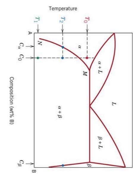 construct the hypothetical phase diagram for metals a and b
