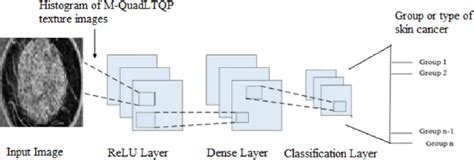 a modified cnn m cnn architecture used in the classification of