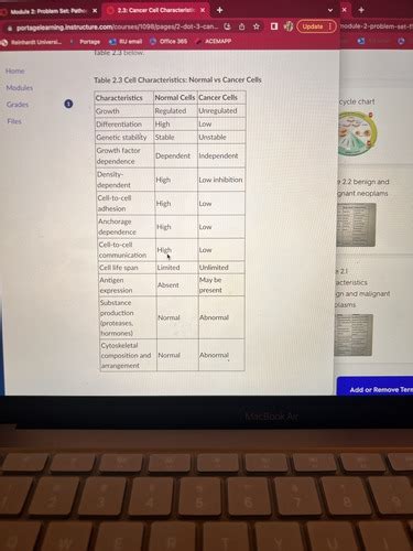Module 2 Problem Set Flashcards Quizlet