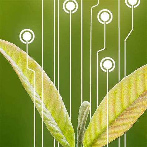 Deloitte Cloud Solutions Deloitte Ireland