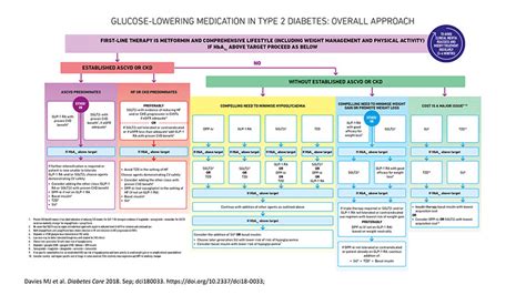 Diabetes Mellitus Type 2 Treatment Guidelines