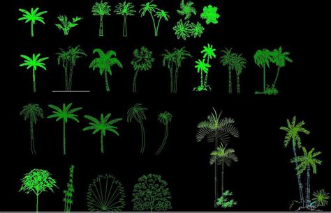 Various Coconut Palm Trees Plants Front View Elevation And Plan 2d Dwg Block For Autocad